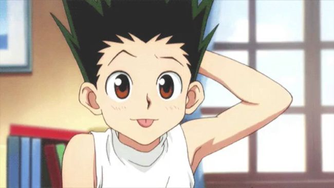 How much do you know about Gon? - Test