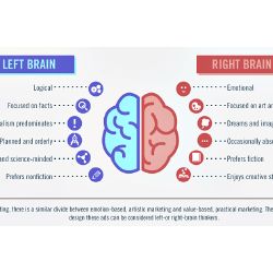 Which side of your brain do you use more? - Quiz