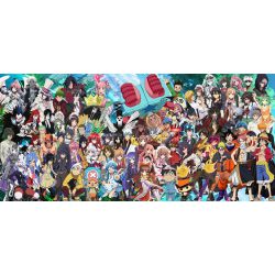 What is the age of this anime character? - Test