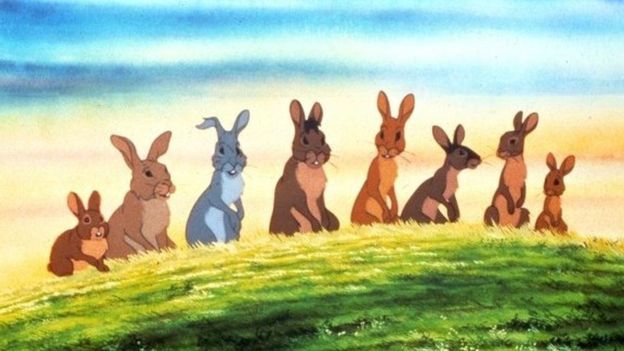 Watership Down: Which Rabbit are you? :3 - Quiz