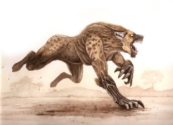 What type of Were-creature are you? - Quiz