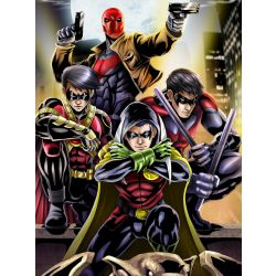 Which Robin are you? (DC Batman Quiz) - Quiz