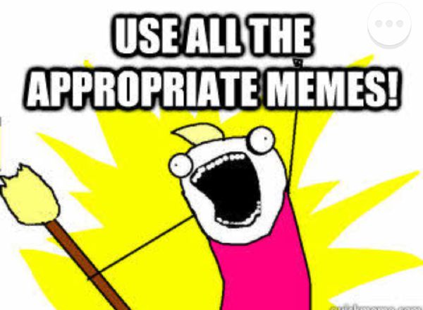 Do you like these appropriate memes? - Survey