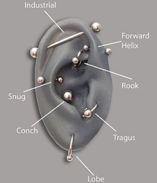 What Ear Piercing Should You Get? - Quiz