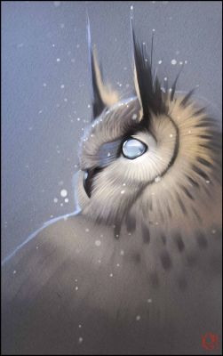 Which animal spirit is watching over you? - Quiz