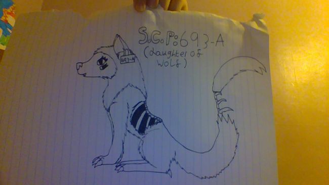 My first scp thing - Quiz