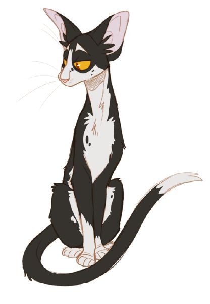 How well do you know Tallstar? - Test