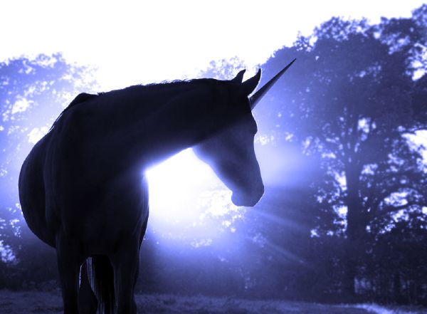 What type of unicorn are you? - Quiz