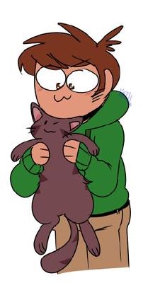 Eddsworld RP: Cousin Edd - Quiz