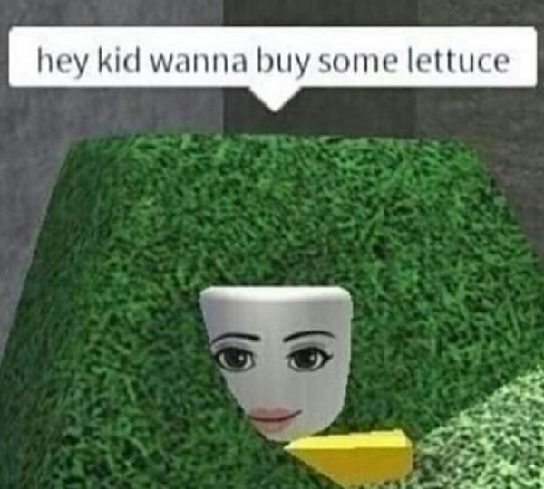 Do You Know Your Memes? - Quiz