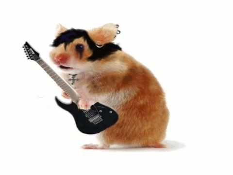 Test your emo knowledge - Test