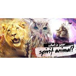 What's your spirit animal? - Quiz
