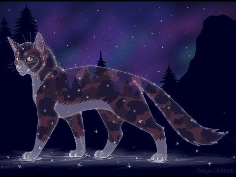 Create a Warrior Cat character - Survey