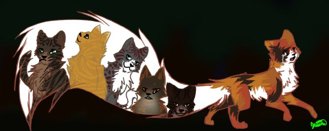 How Well Do You Know Mapleshade? - Test