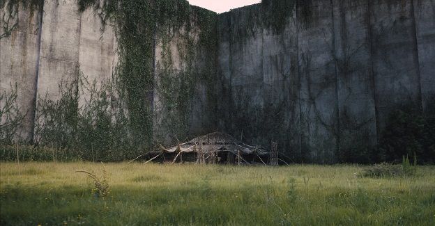 How well do you know The Maze Runner? - Test