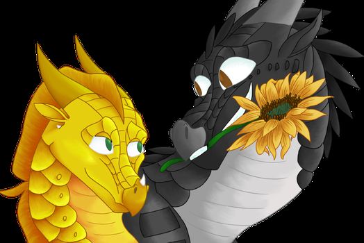 Wings of Fire - Ship it or Rip it - Quiz