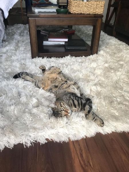 Do You Know Your Logos - Test