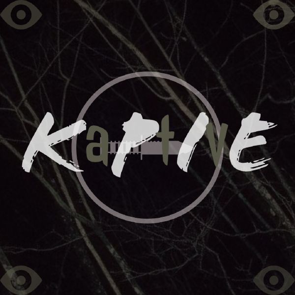Kaptive (Creepypasta Series #4) - Quiz
