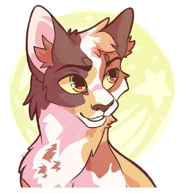 Warrior Cat OC Template - Survey