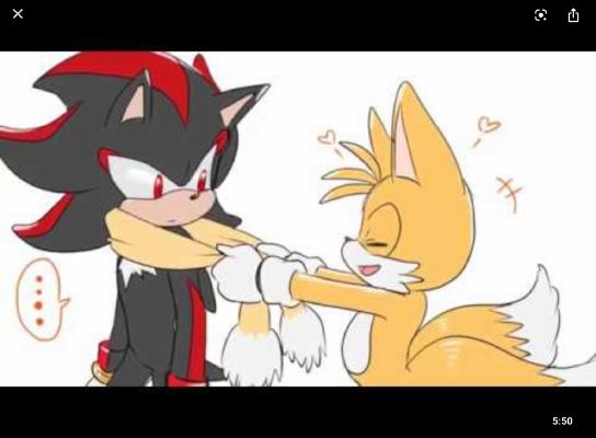 Sonic (Ship it or Rip it) - Quiz