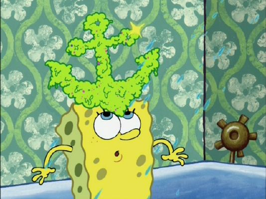 Are you a spongebob freak - Quiz