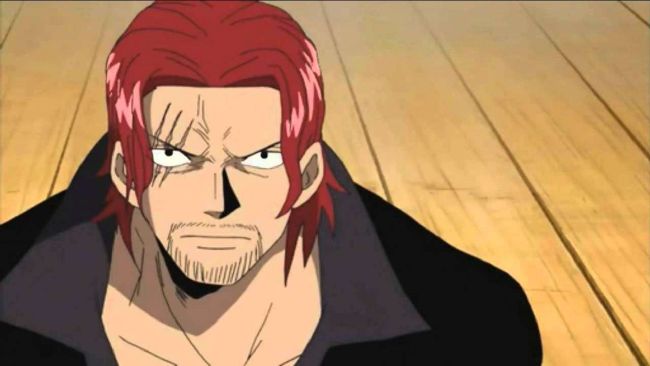 One Piece Quiz: Guess the Character - Test