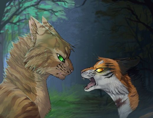 Warrior Cats Ship or Rip - Survey