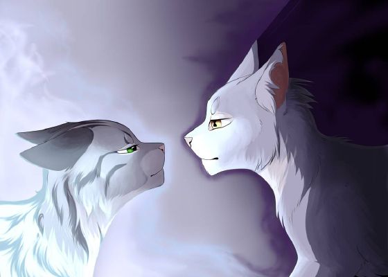 Warrior Cats Ship or Rip - Survey