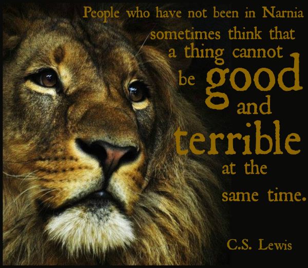 Narnia Facts that Anyone Would Know - Survey