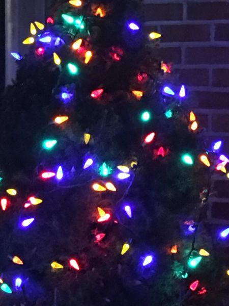 Some More WoF questions - Survey