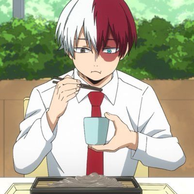 what does Shoto think of you - Quiz