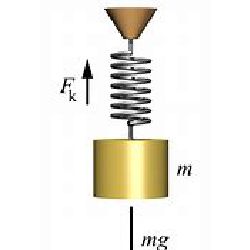 Physics- 7.5 The Mass-Spring System as a Simple Harmonic Oscillator - Test