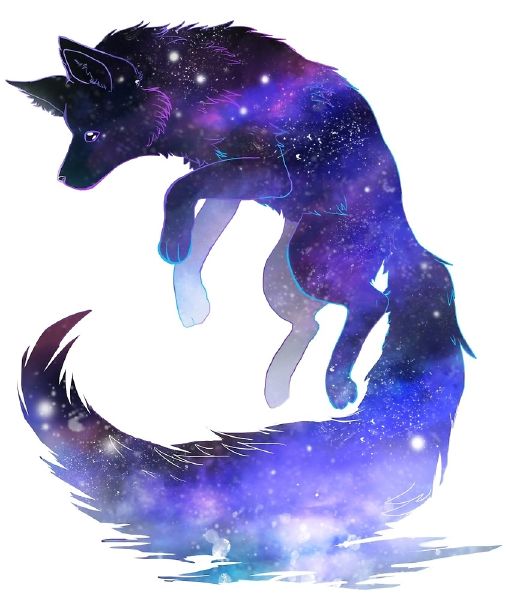 Create a animal OC! - Quiz