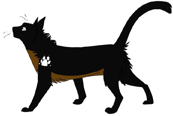 How Well Do You Know Your Warrior Cats? - Test