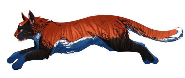 How Well Do You Know Your Warrior Cats? - Test