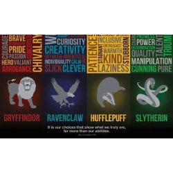 My opinion on your HP house! - Quiz