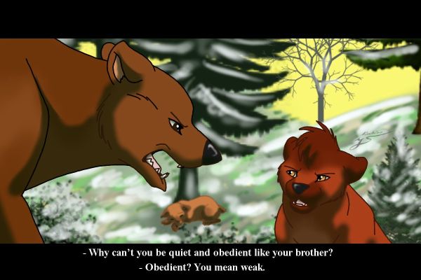 Seekers Bears quiz - Test