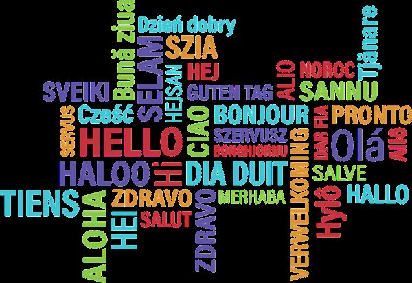 What Language Should You Learn? - Quiz