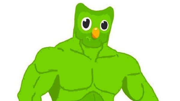 What does the Duolingo Owl think of you - Quiz