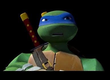 Turtle Tickling! - Quiz