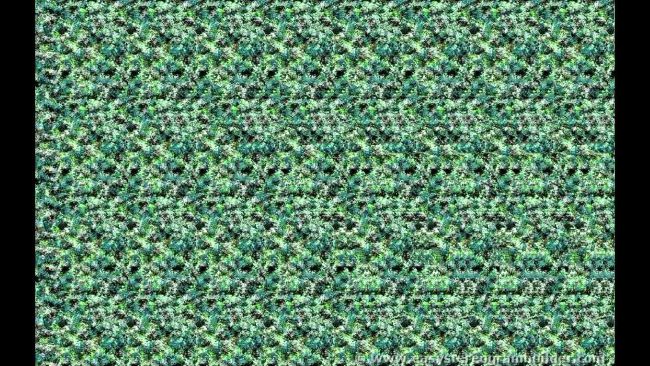 The Ultimate Stereogram Quiz - Test