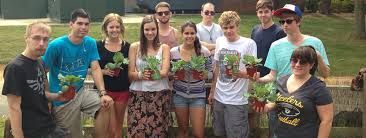 Which the freshman character are you? - Quiz