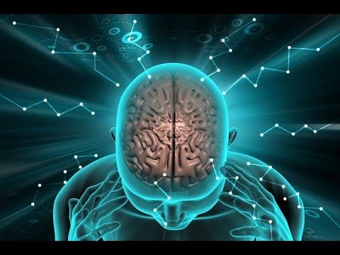 Iq test for big brains - Test