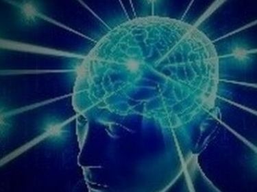 Iq test for big brains - Test