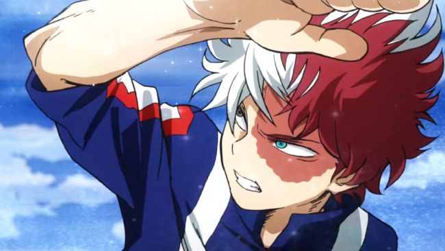 How Well Do You Know Todoroki? - Test