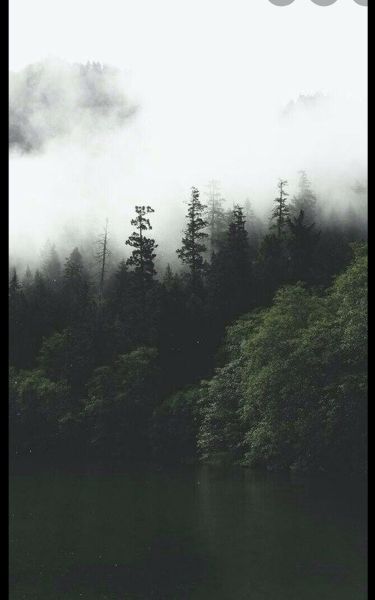 Where should you live? - Quiz