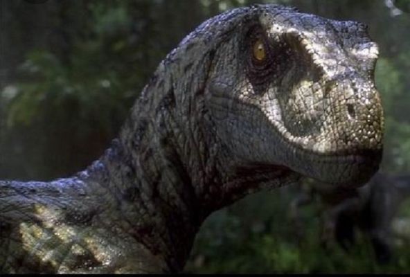 Jurassic park hang with the raptors and special guest - Quiz