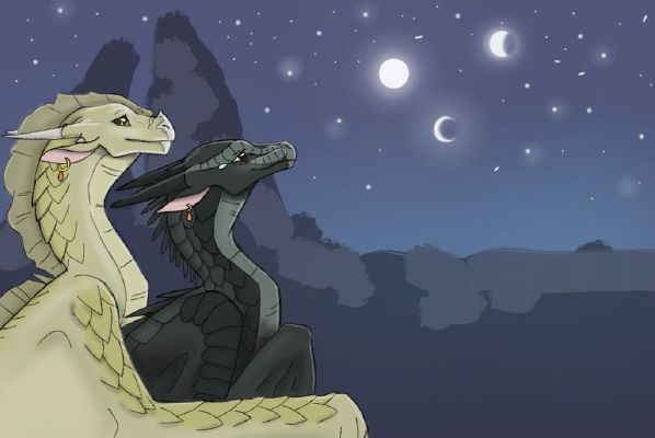 WoF~Ship it or Rip it~ - Survey