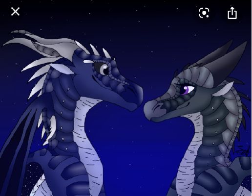 Wings of fire ships - Survey