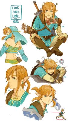What does Link think of you? - Quiz